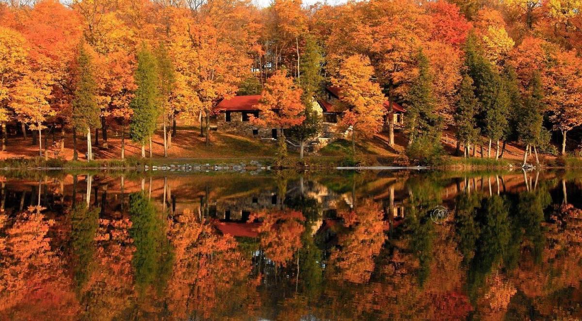 Top Fall Activities | Visit Syracuse