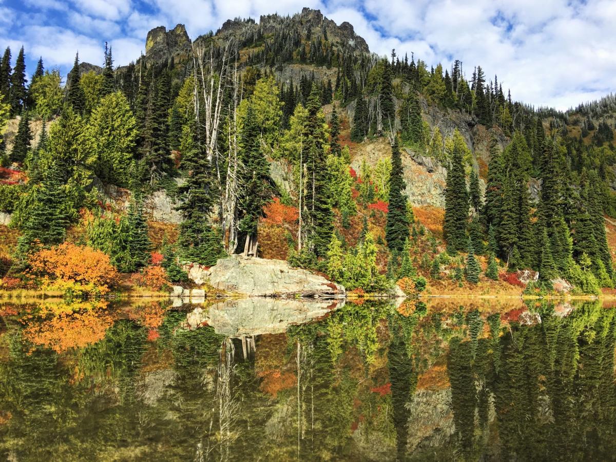Six places in and around Tacoma to watch the leaves change in the fall