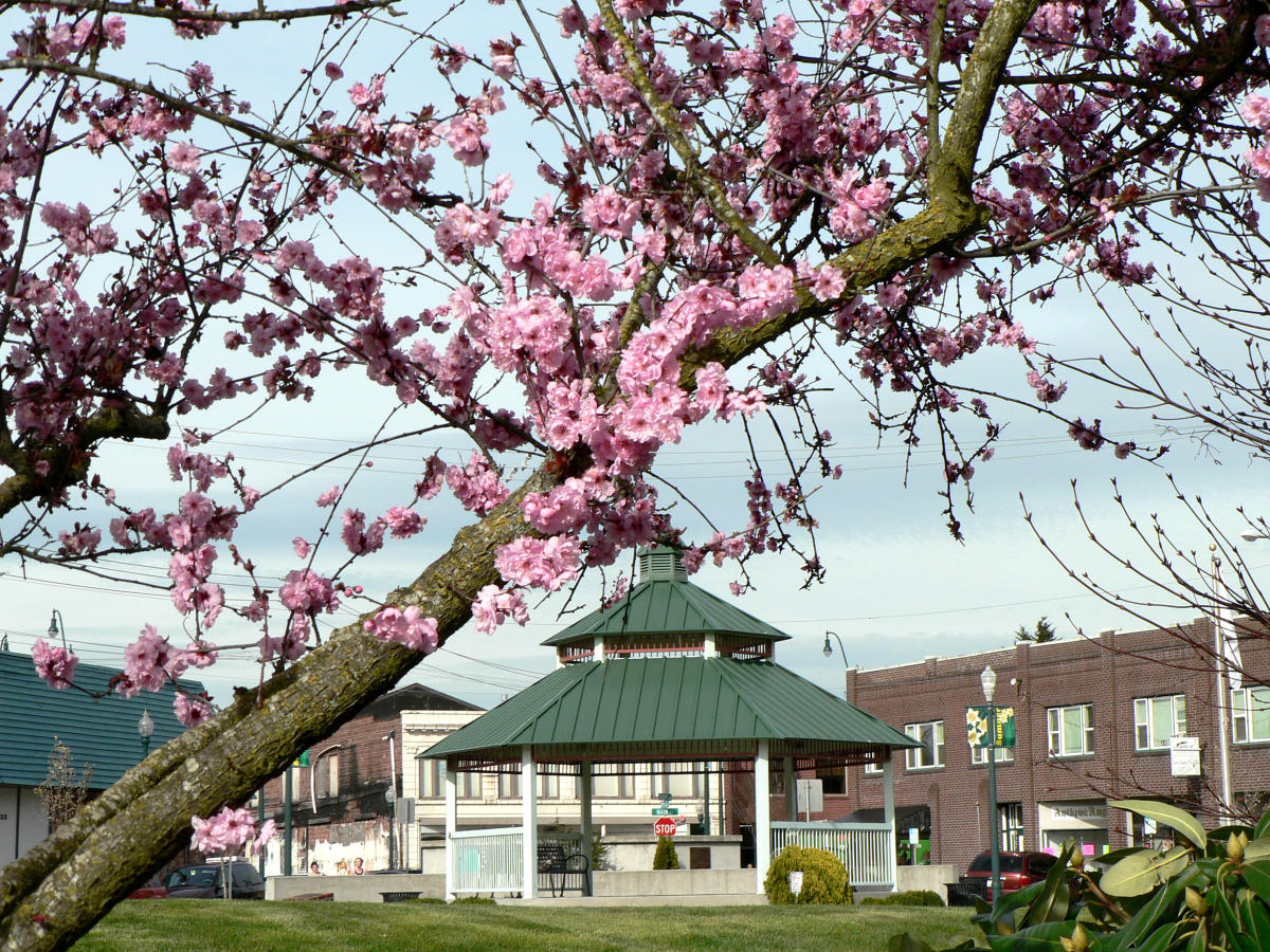 Sumner, WA | Find Top Attractions, Things to Do, Events & Tours