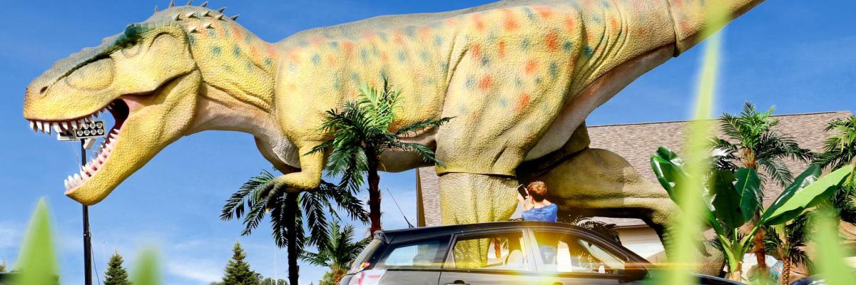 Wild Drive-Thru Road Trip