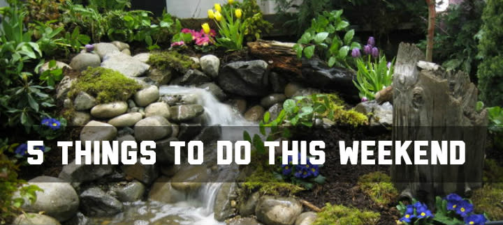 What to do this weekend: 1/27 - 1/29