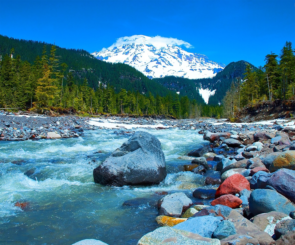 What's open in Tacoma and Pierce County?