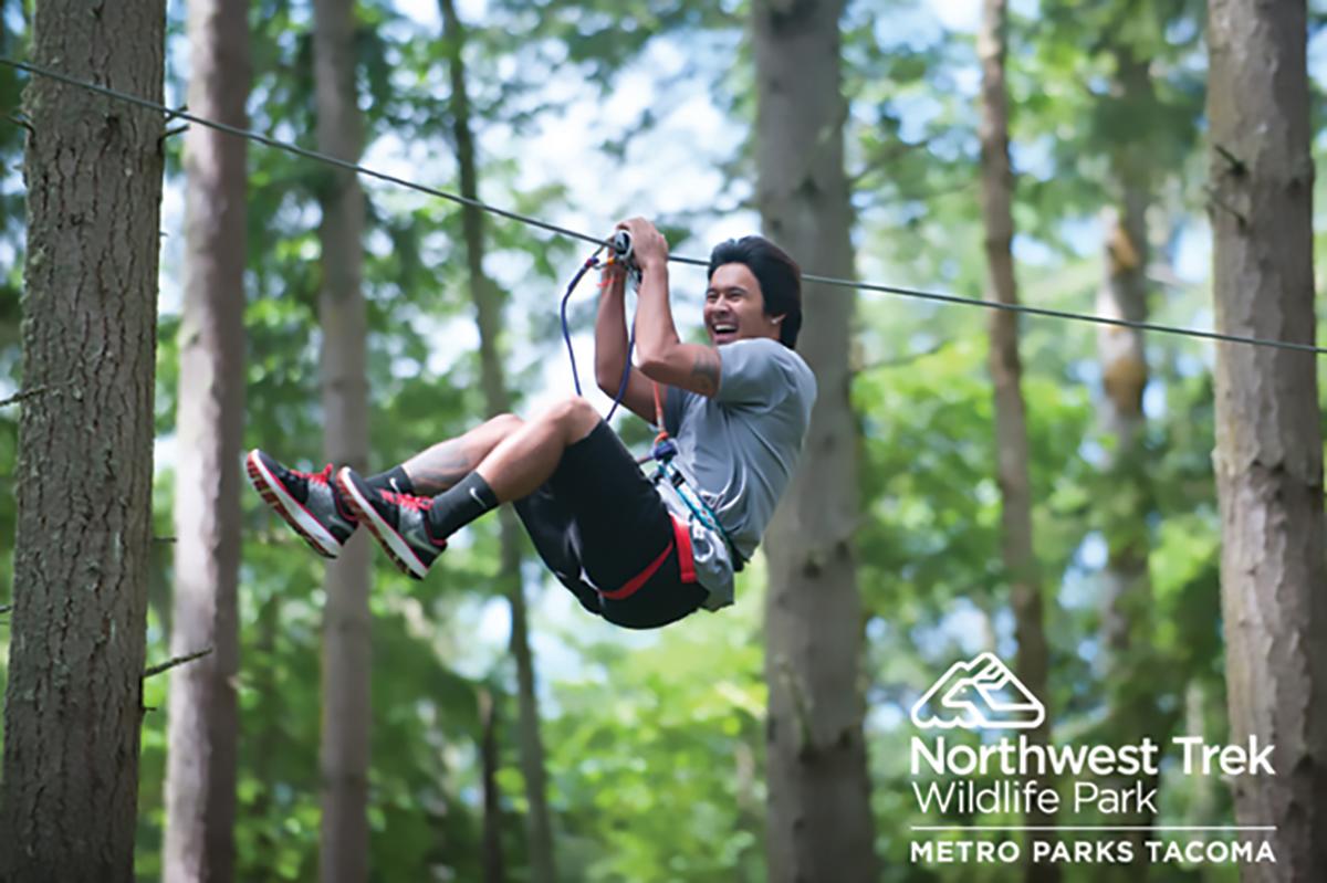 Team building in Tacoma and Pierce County