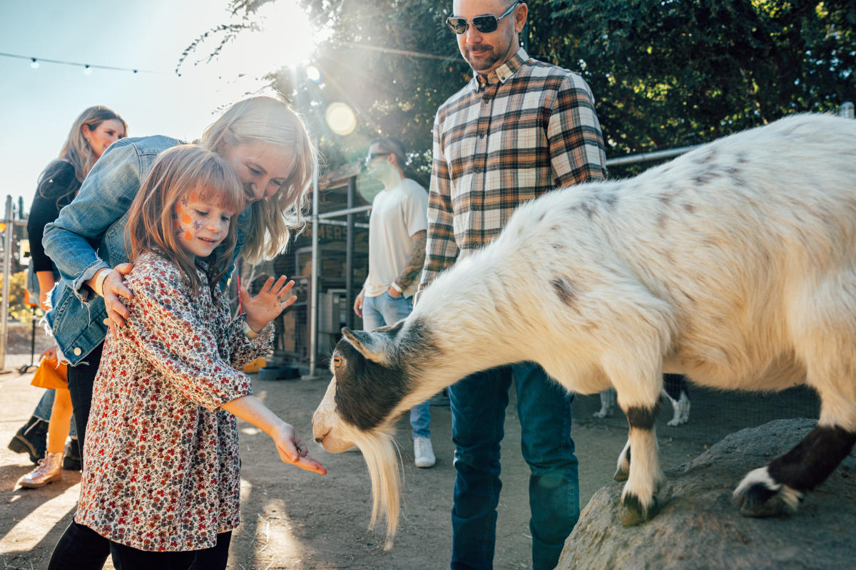 Experience Autumn Magic in Temecula Valley: An Ultimate Guide to Fall ...