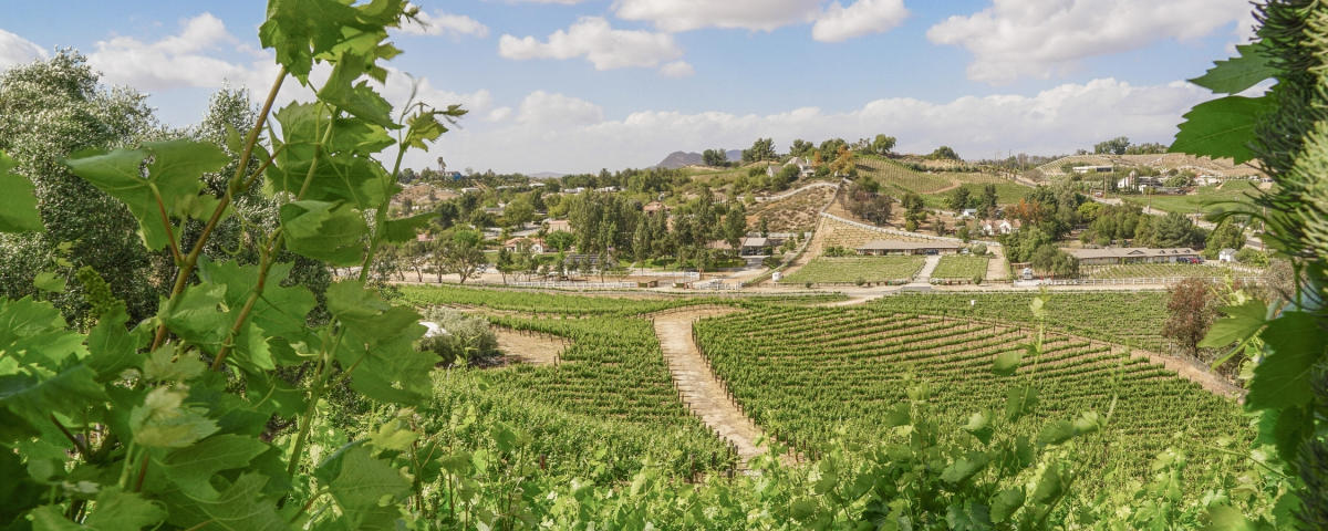 Temecula Valley Winery Map | Find Top Wineries & Vineyards