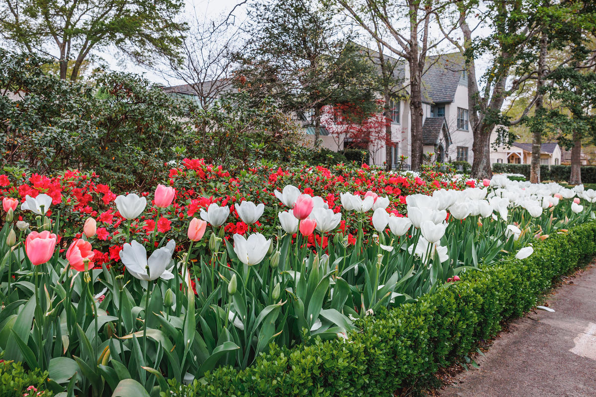 Outdoor Activities & Adventures in Tyler, TX | Travel Texas