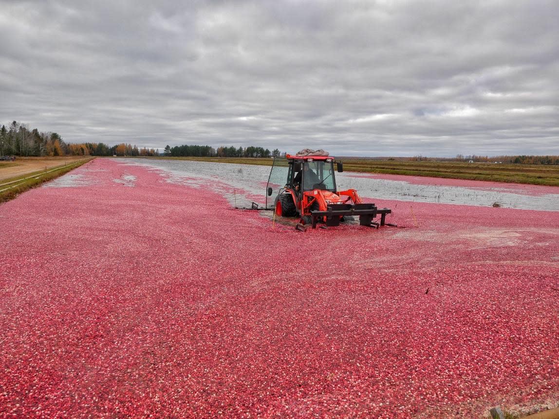Taste the Bounty of Three Lakes