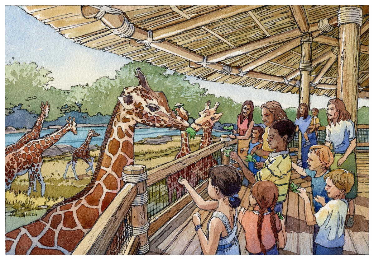 New Topeka Zoo Exhibit | New Giraffe Exhibit in Topeka, KS