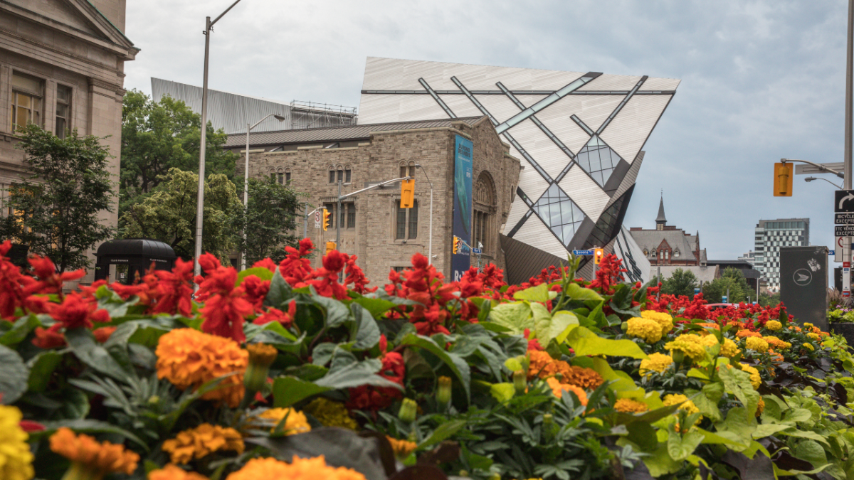 Spring Activities in Toronto | Cherry Blooms & More