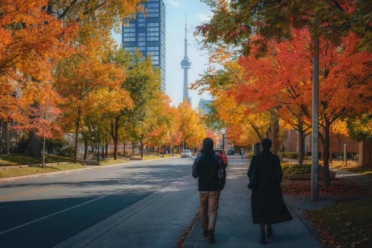 Toronto Walking Trails | Where City Meets Wild