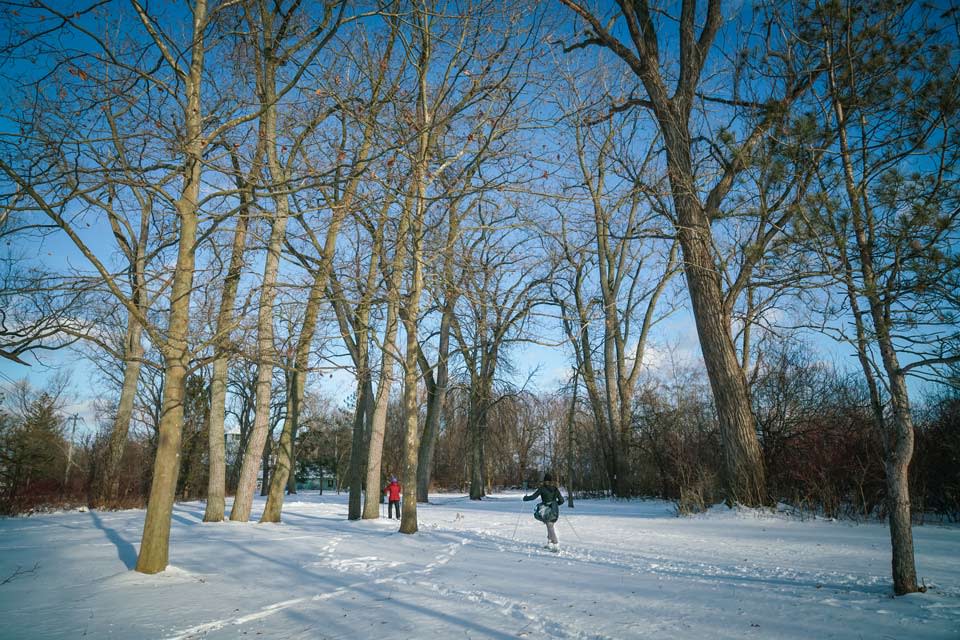Best Parks in Toronto for Winter Fun | Explore Winter Wonderland