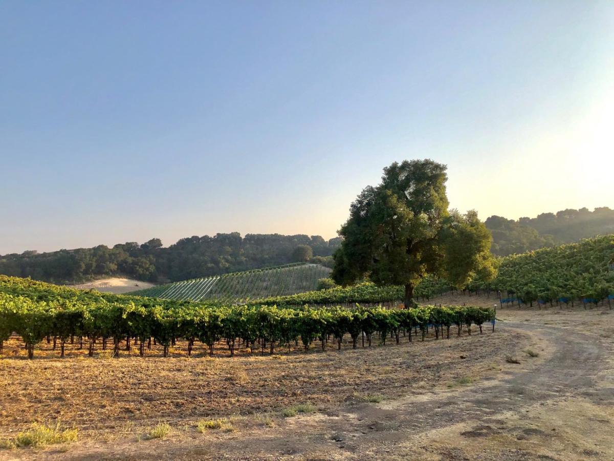 BOOKER VINEYARD ACHIEVES TOP LEVEL OF ORGANIC CERTIFICATION