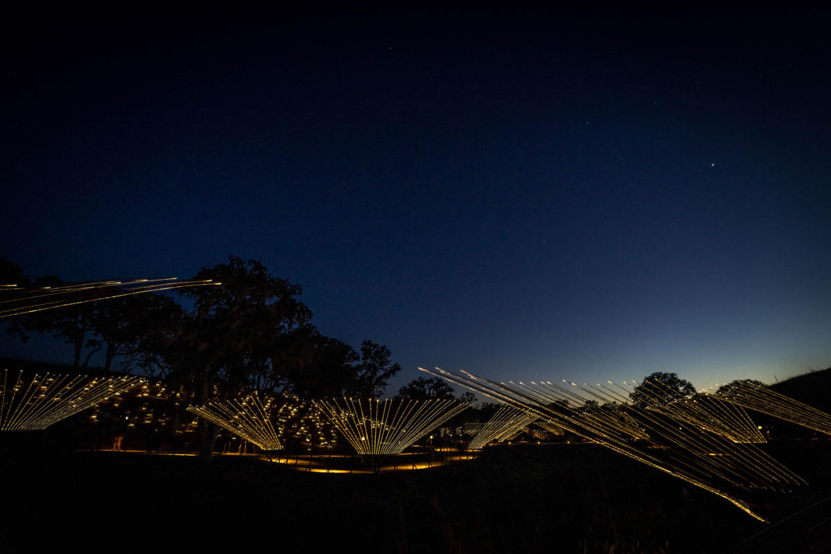 Sensorio Unveils Two New Exhibits at Bruce Munro: Light at Sensorio