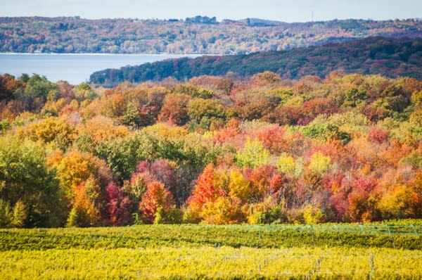 Fall Things To Do in Traverse City | Pumpkin Patches & Ciders