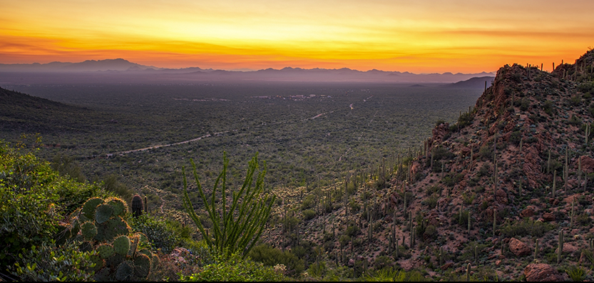 Request a Guide | Plan a Trip | Visit Tucson