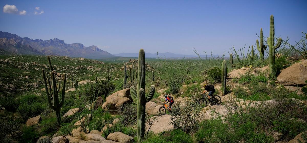 Mountain Biking in Tucson | Trails & Cross-Country Riding