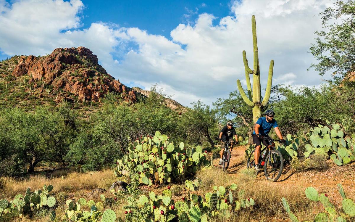 Must-See Attractions | Visit Tucson, Az