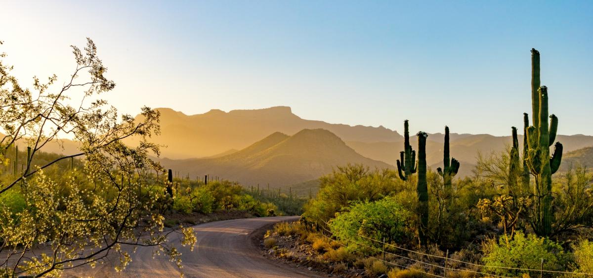 Pinal County, Arizona | Events, Restaurants & Things To Do