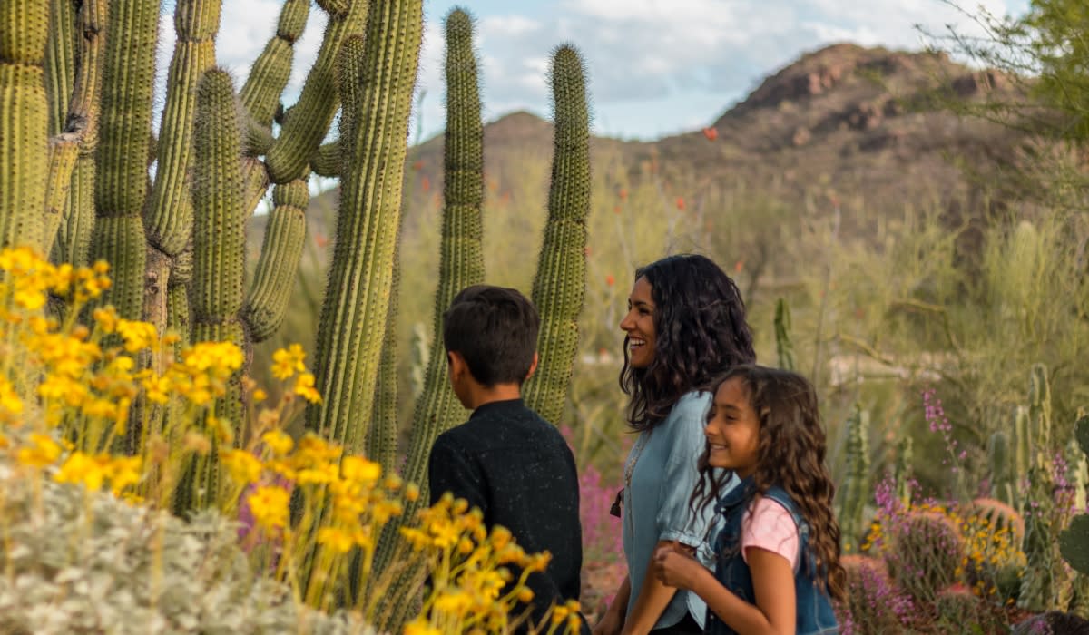 12 lugares en Tucson | Vamos a Tucson Blog