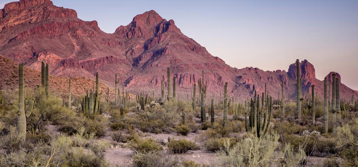 8 Ghost Towns in Southern Arizona | Historic Mining Towns | Visit ...