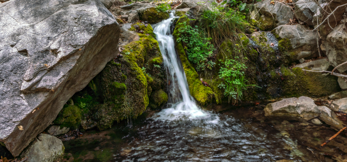 Rivers & Lakes In Tucson Arizona | Outdoor Activities