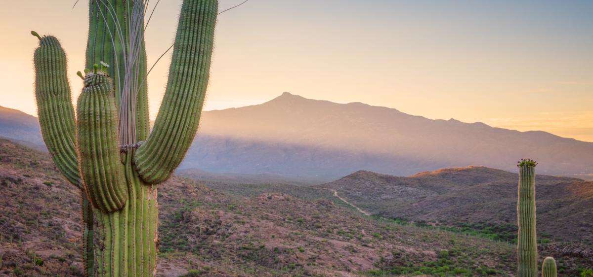 Rincon Mountains | Discover Tucson's Trails & Caves