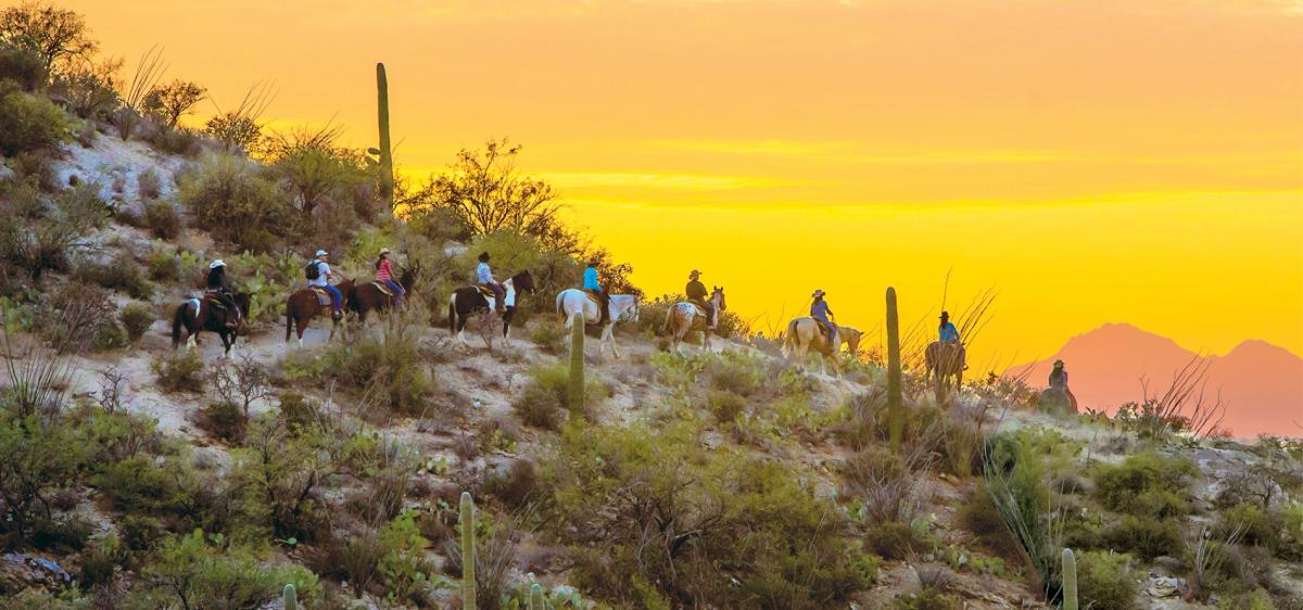 Tucson Horseback Riding | Visit Guest Ranches, Resorts, Stables