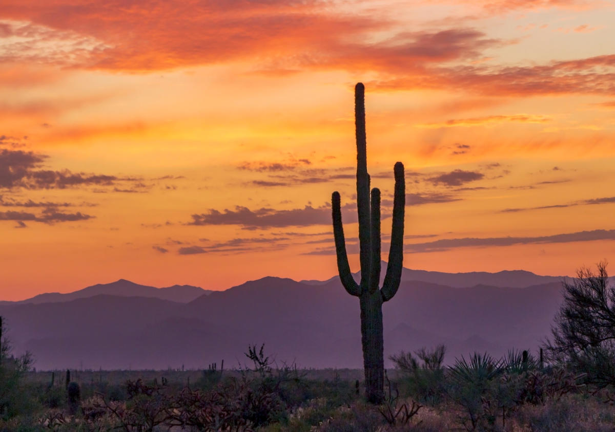NCOFCU 2026 Educational Conference | Visit Tucson