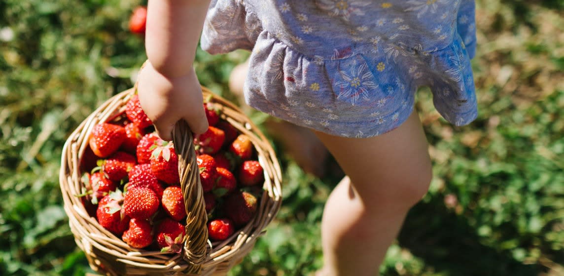 Farm Fresh | Visit Marysville