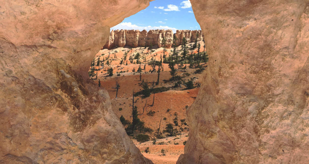 Riggs Spring Loop Trail