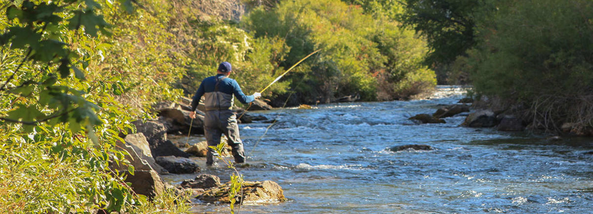 Fishing at Boulder Mountain | Utah.com