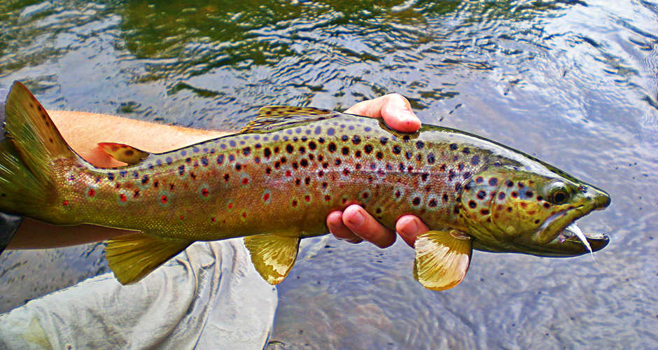 Fishing in Moab | Utah.com