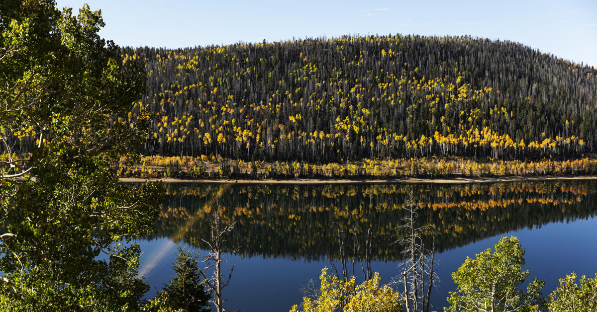 Color Me (Insert Emotion Here): Where to See Cedar City’s Feel-Good ...