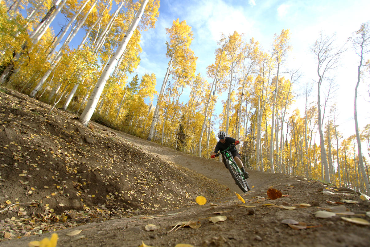 Things To Do in Wasatch Mountains During Summer | Utah.com