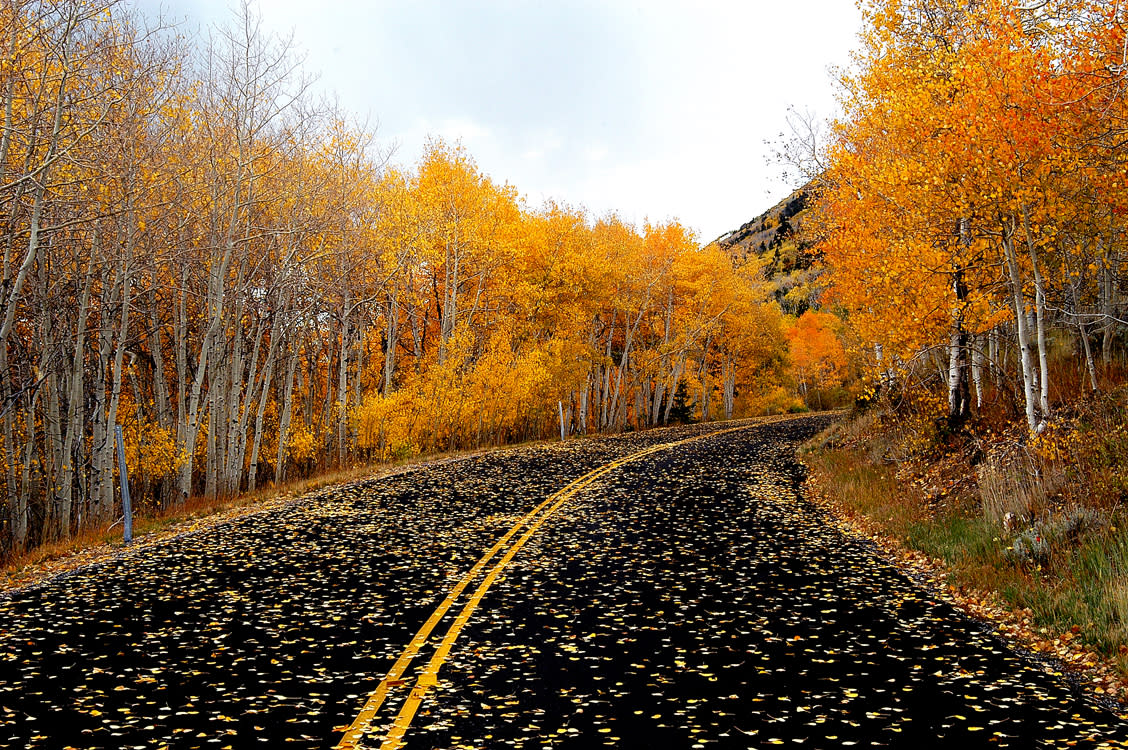 Beaver Canyon Scenic Drives and Byways | Utah.com