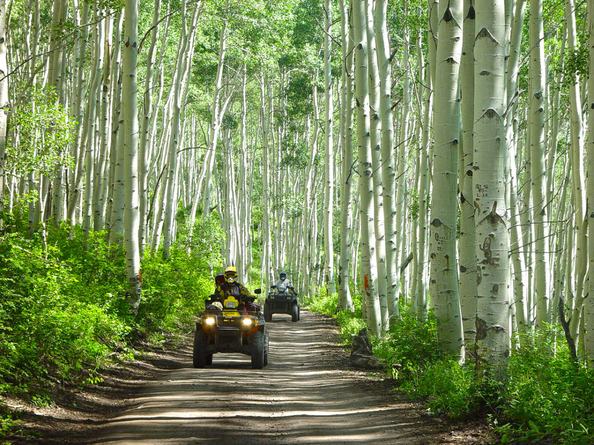 ATV Paiute Trail | Utah.com