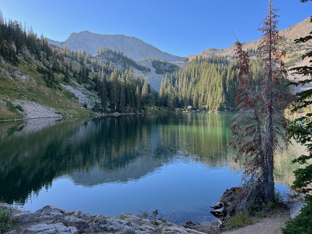 Red Pine Lake