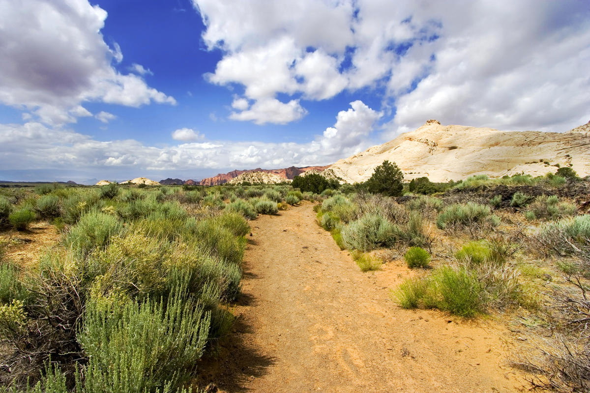 St George Area Hiking Trails | Utah.com