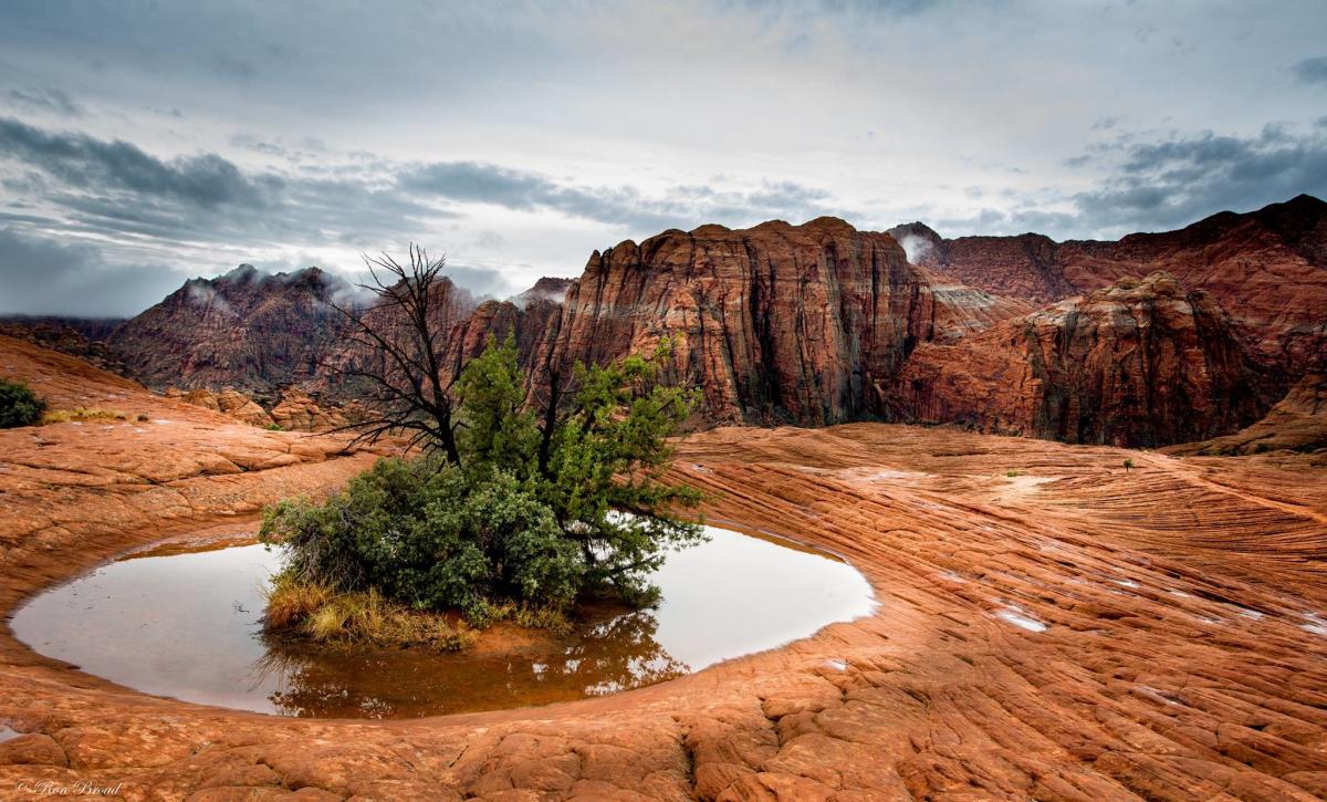 5 Things To Do in St. George In Winter | Utah.com