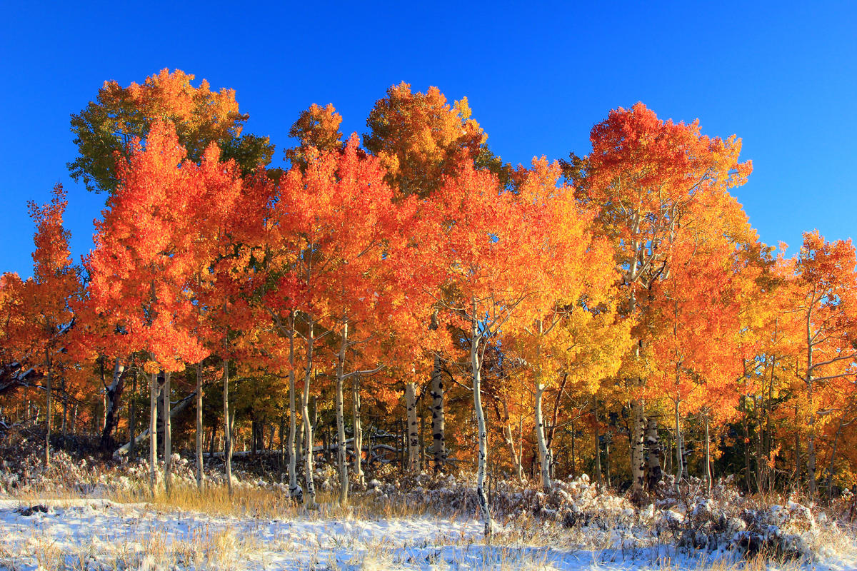 Fall Staycation Itineraries in Salt Lake City or Park City | Utah.com