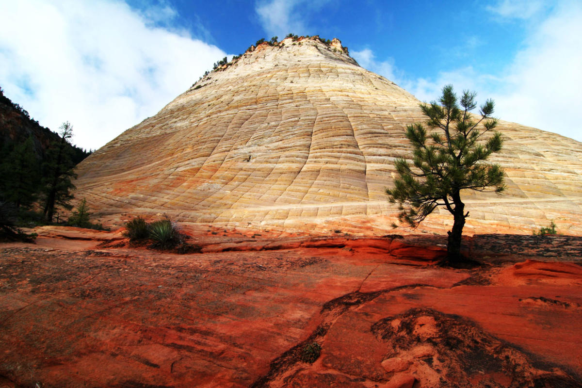 Checkerboard Mesa - Zion | Utah.com
