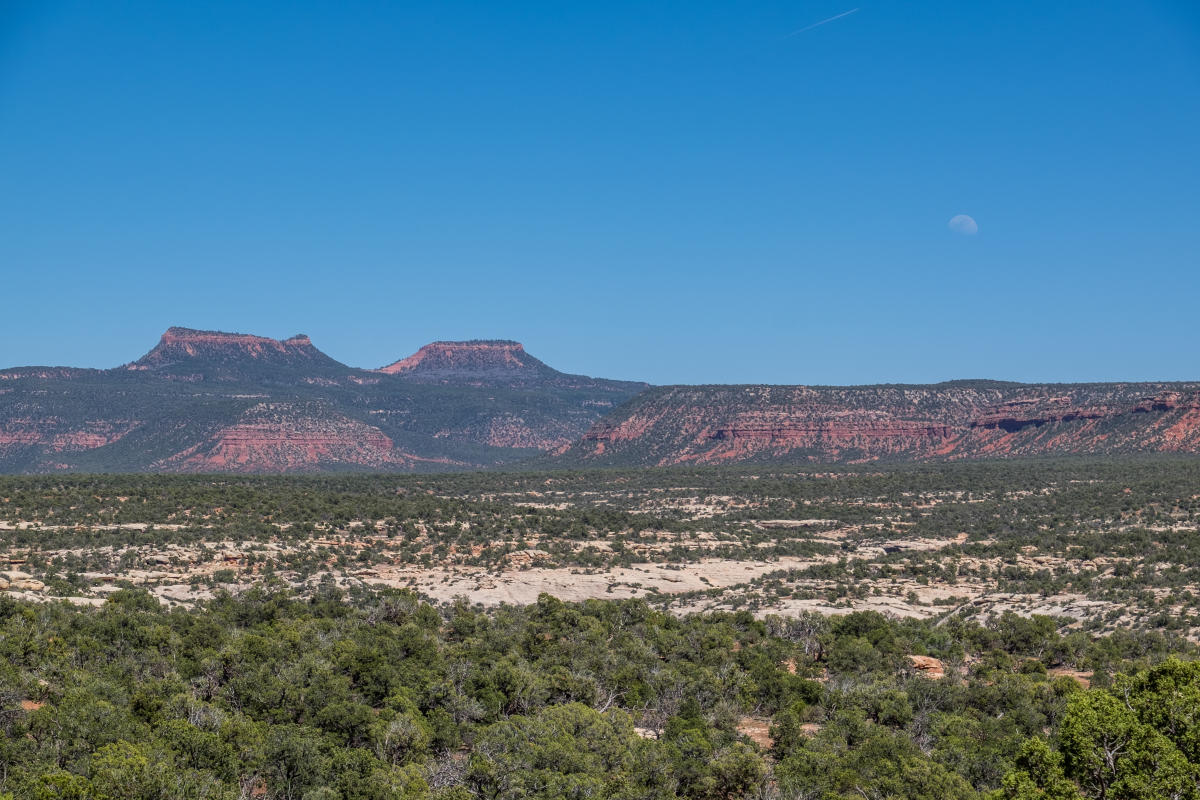 Bears Ears National Monument | Utah.com