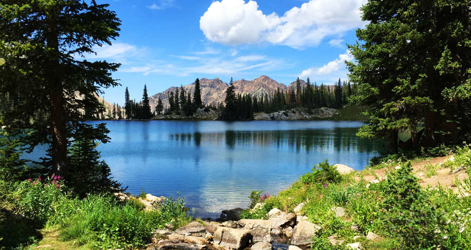Red Pine Lakes