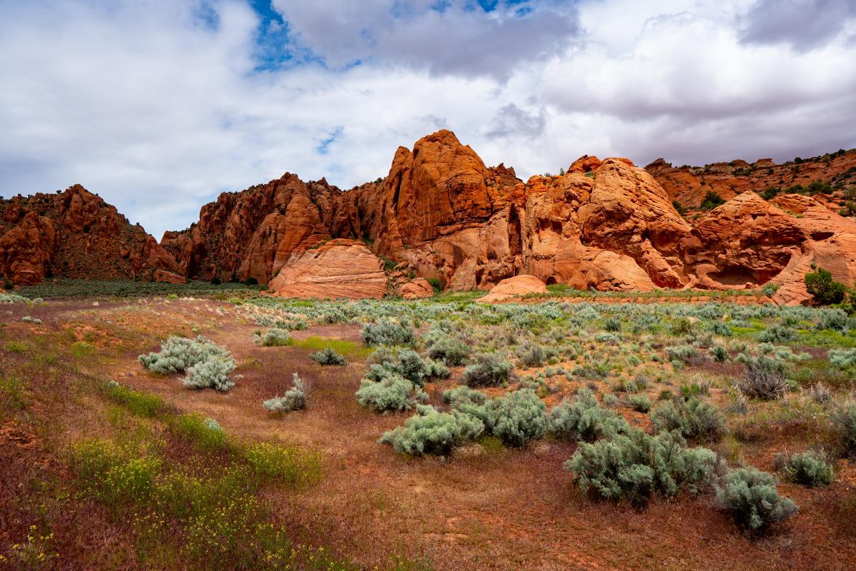 Red Rock Country Hiking Trails | Utah.com