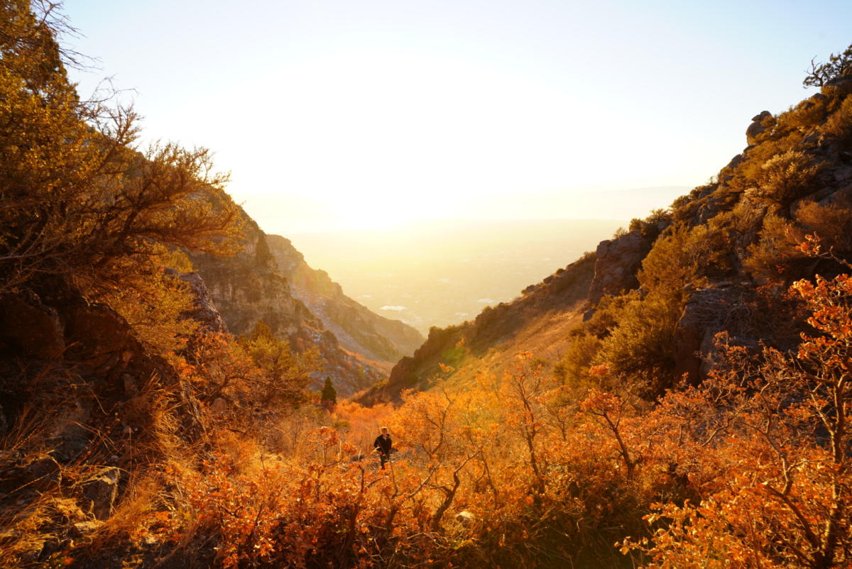 13 Fall Hikes near Provo, Utah