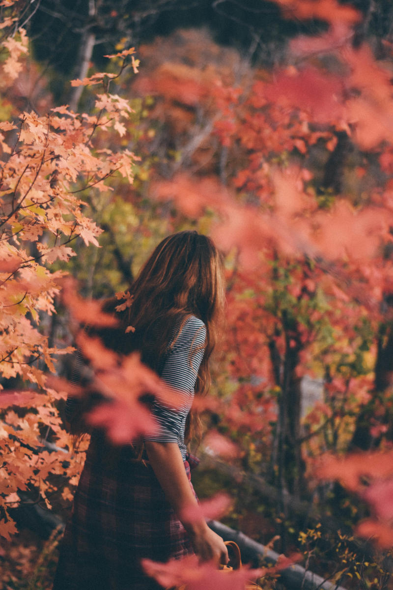 5 Must-Visit Fall Photo Spots in Provo & Utah County