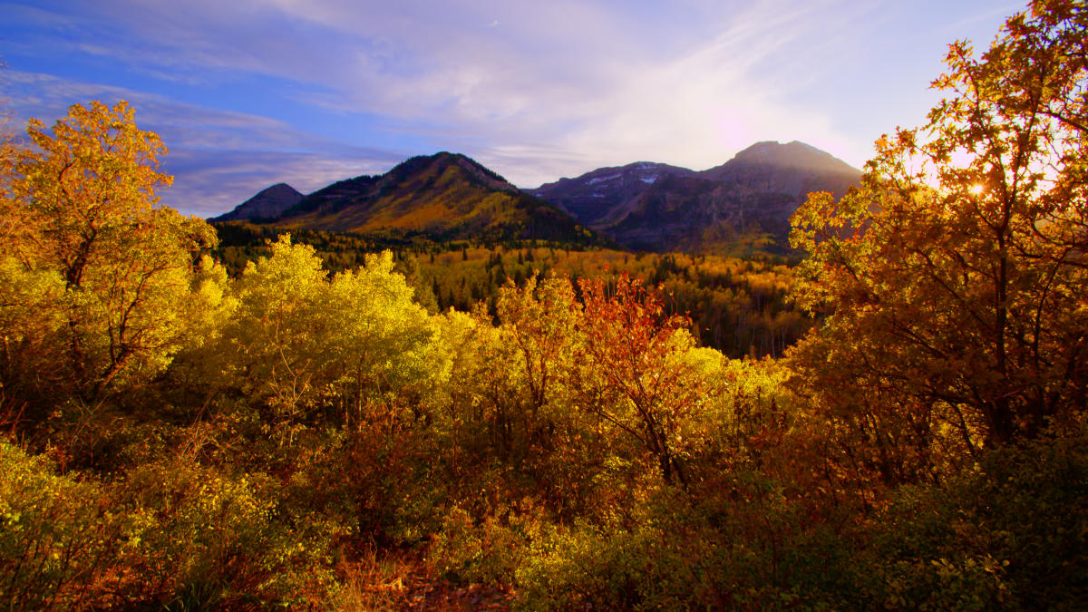 6 Scenic Drives to See Fall Colors | Explore Utah Valley