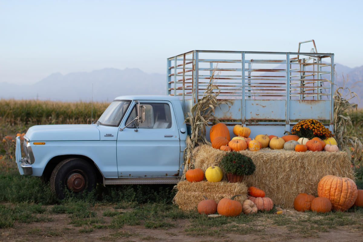 Things to Do | The Great Western Fall Colors Roadtrip