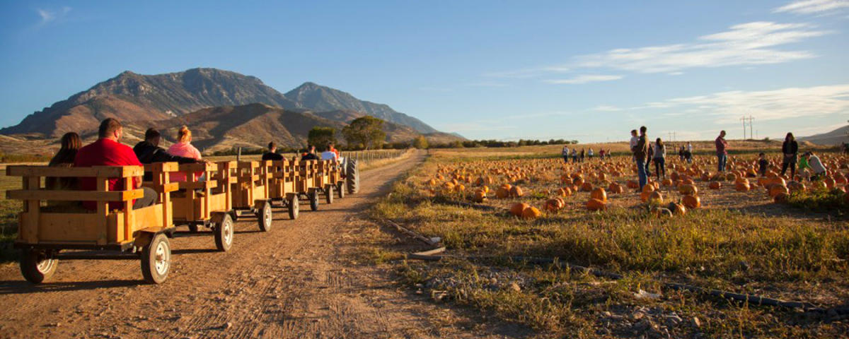Farming Day | Explore Utah Valley