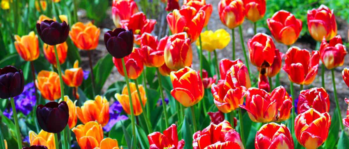 Family Friendly Spring Break Activities in Utah County | Explore Utah ...